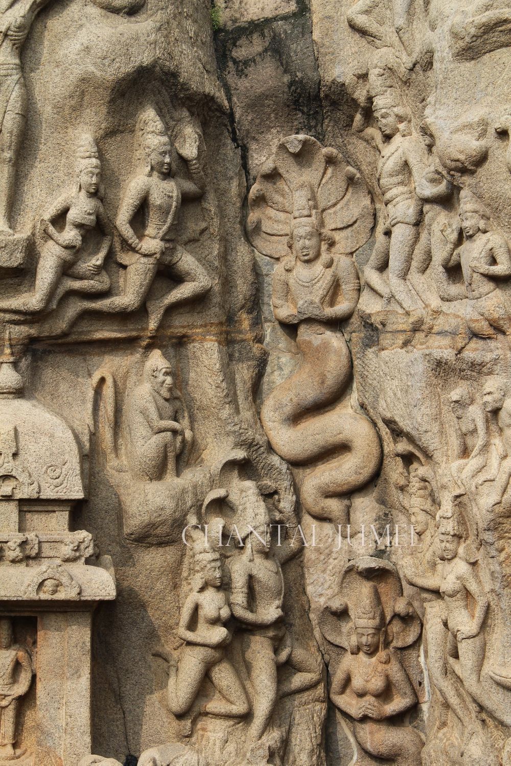 Celebrating Nâga Panchami