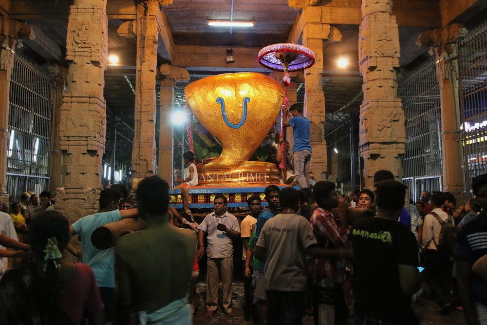 Celebrating Nâga Panchami