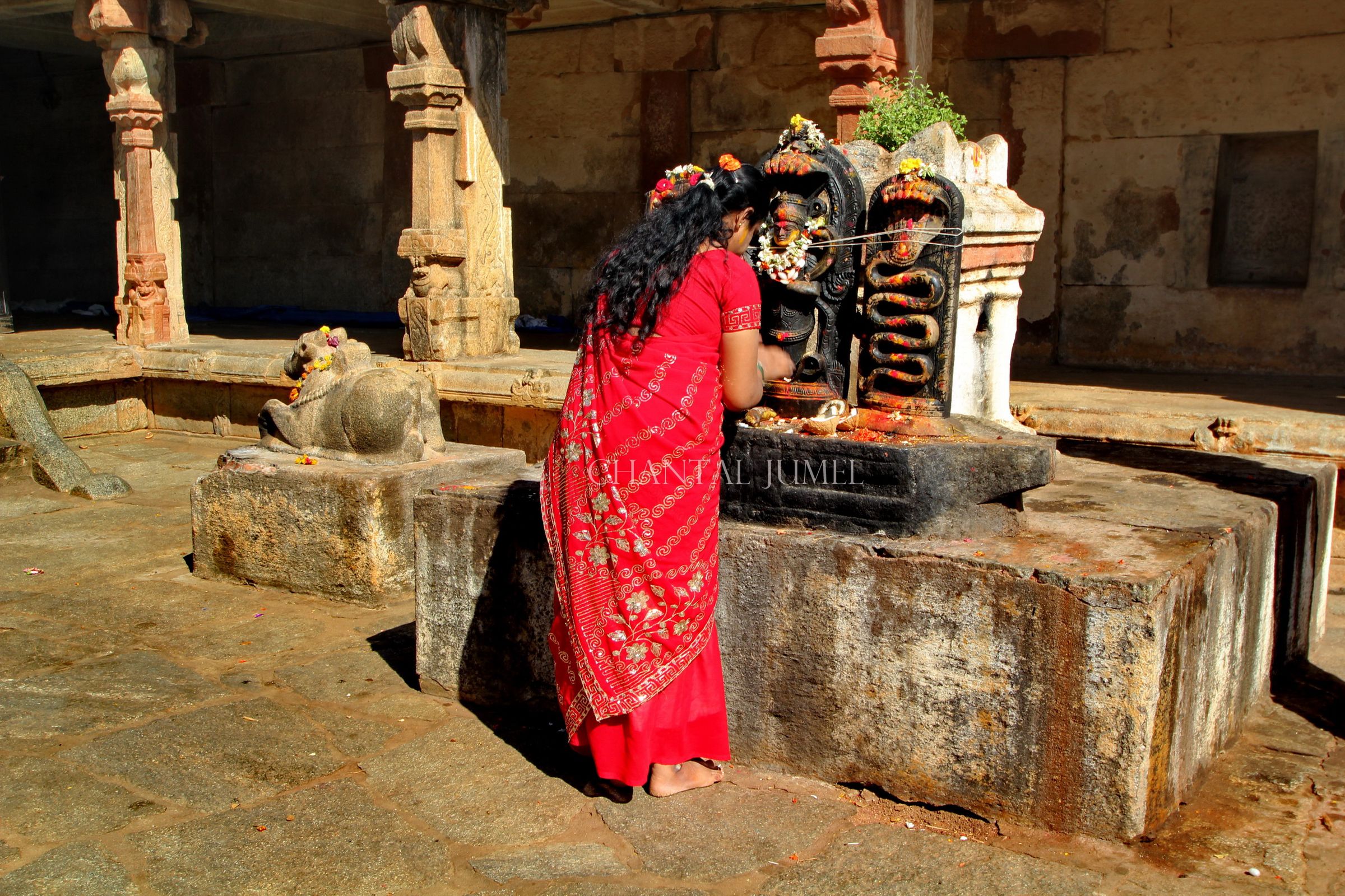 Celebrating Nâga Panchami